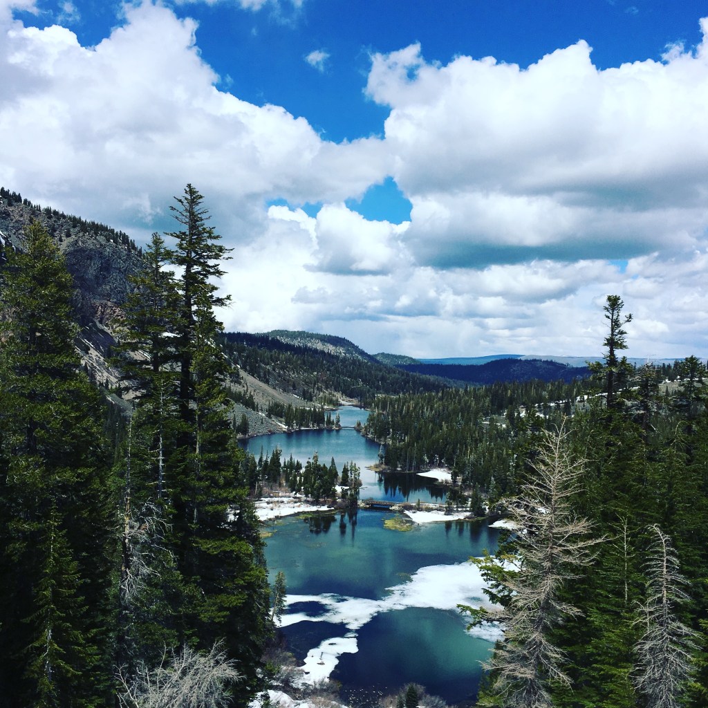 Gallery | Chateau Fosho